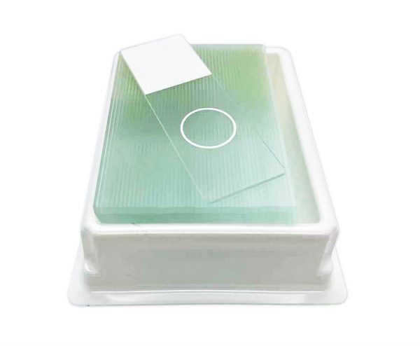 PathTezt UrineCell Slide – Pathtezt