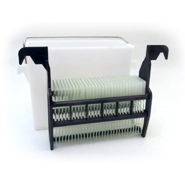 Staining Rack – Pathtezt